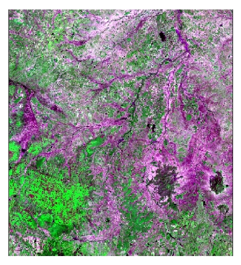 Landsat MSS Images