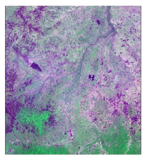 Landsat MSS Images